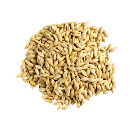 Buy Organic Barley Grain, Jau Grain Online at The Best Price in India