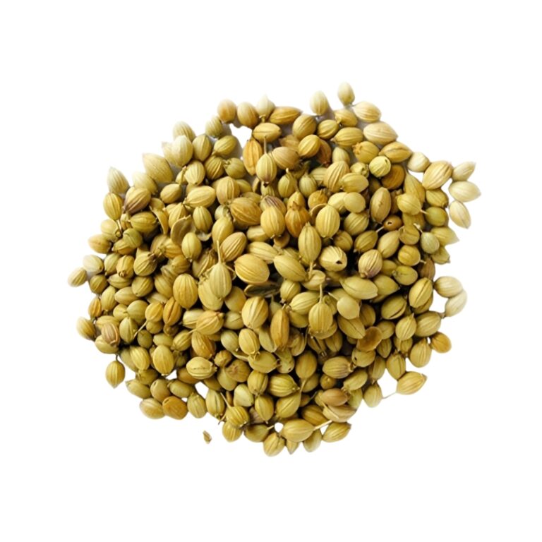 Buy Sabut Dhaniya, Coriander Seed Online at Best Price in India