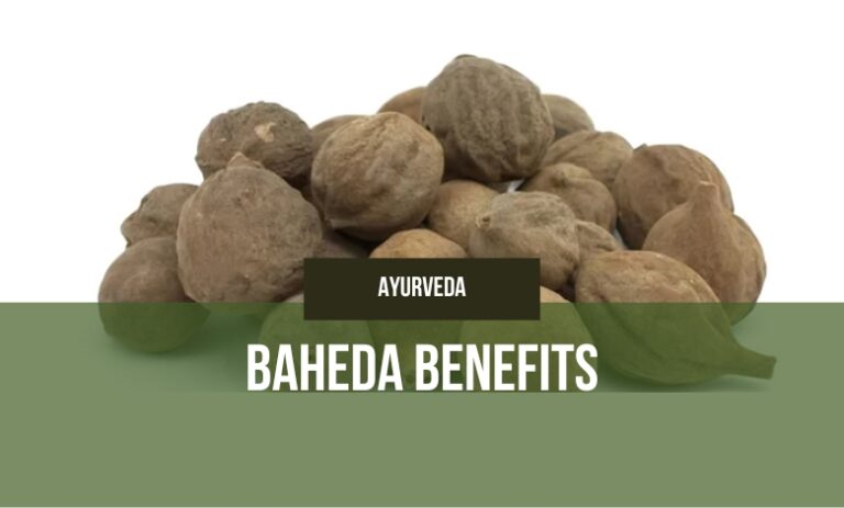 Unveiling Baheda Benefits: Precautions and Dosage
