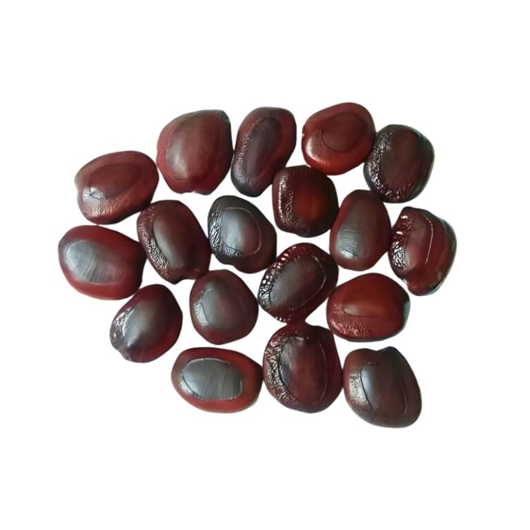 Buy Organic Imli Ke Beej, Imli Beej, Tamarind seeds Online for Puja ...