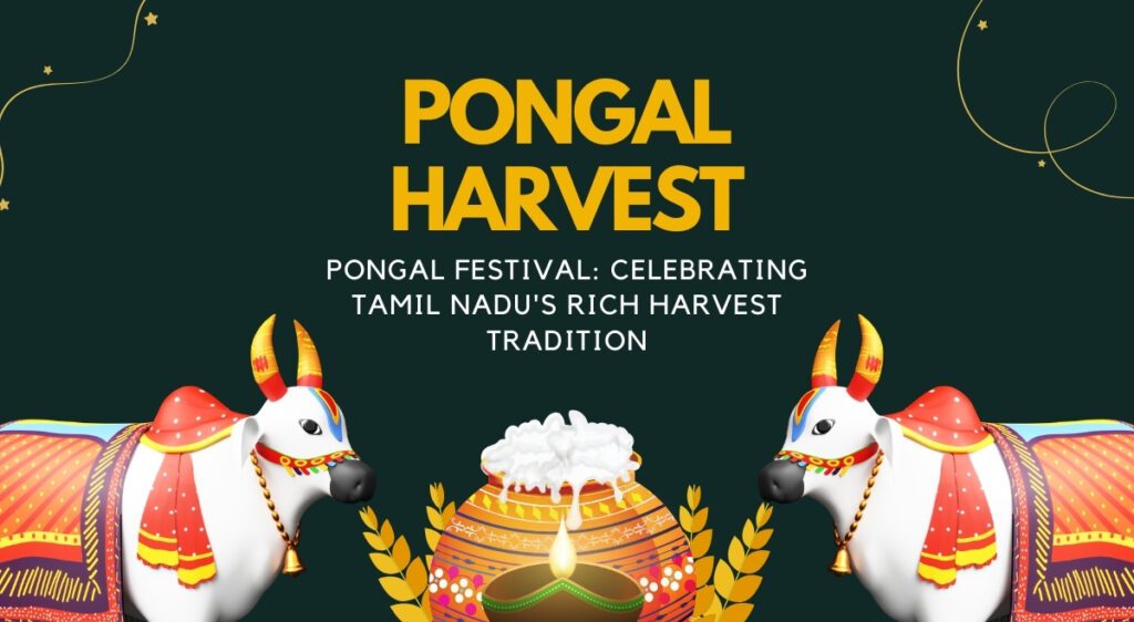 Pongal Festival: Celebrating Tamil Nadu's Rich Harvest Tradition ...